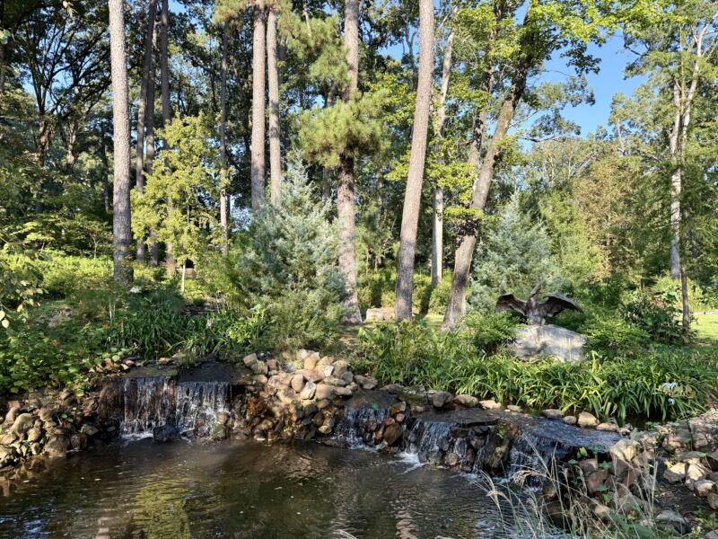 Review: American Airlines Airbus A321 First Class (DFW-CLT) - ATX Jetsetter